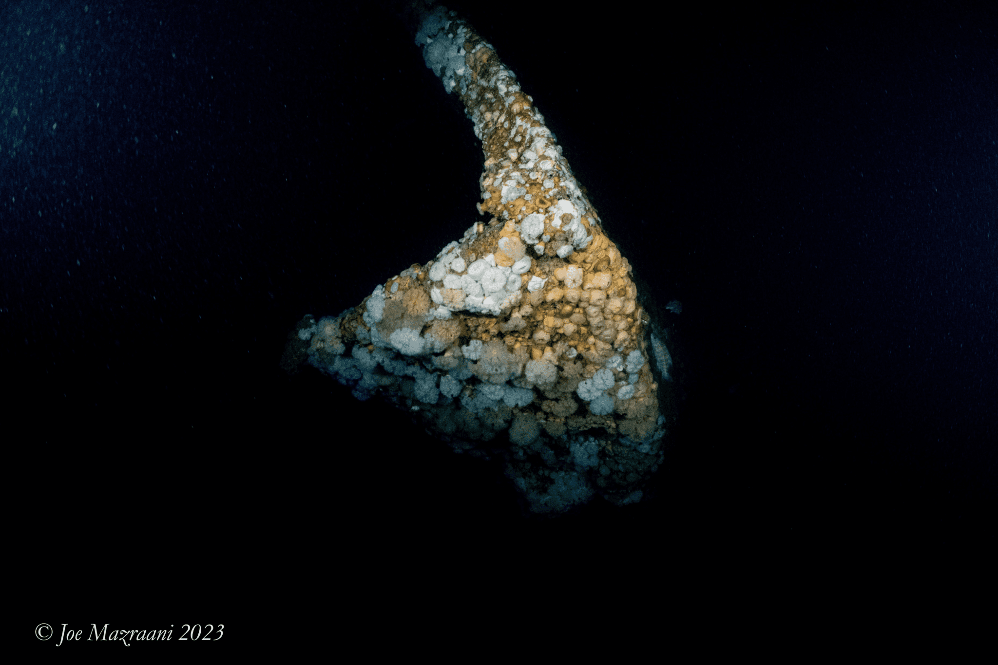 Dive into History, SS Andrea Doria - Atlantic Wreck Salvage